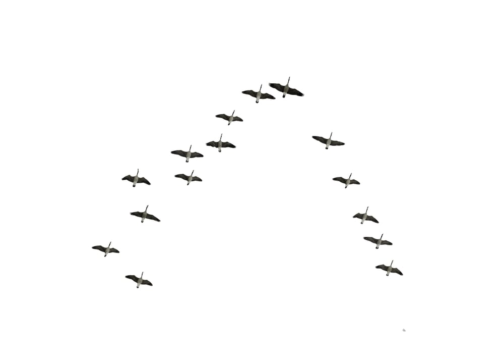 5 Ways a Migration to Oracle Cloud Infrastructure can solve your Oracle ... 5 Ways a Migration to Oracle Cloud Infrastructure can solve your Oracle ...